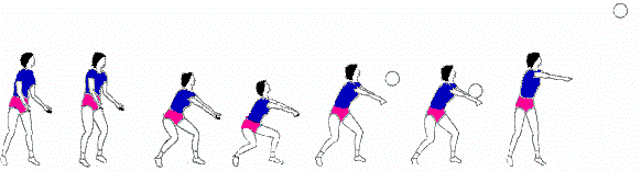 Todo sobre Voleibol : Voleo arriba y recepción en voleibol