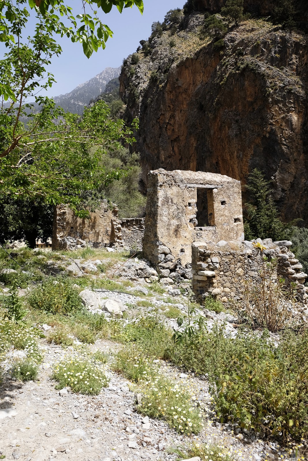 My Morning Cup: Samaria Gorge National Park (Crete)