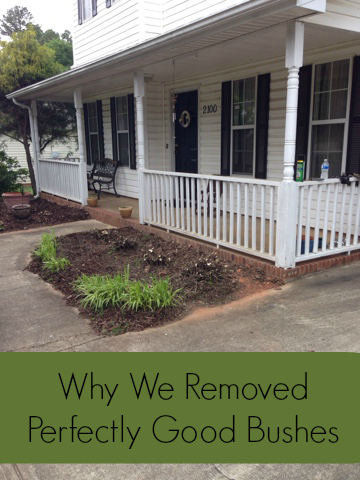 Architecture of a Mom: Why We Removed Perfectly Good Bushes