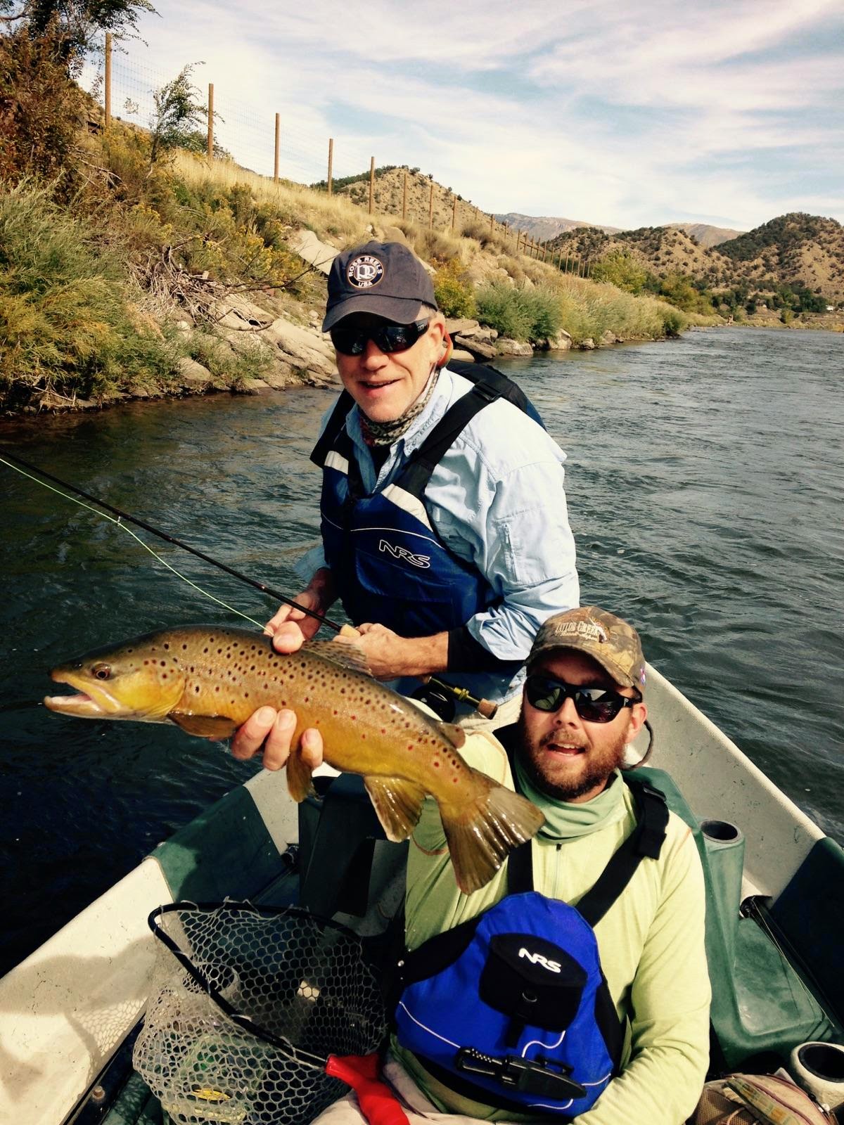 Taylor Creek Flyshop: Runoff and High Water Fishing Options