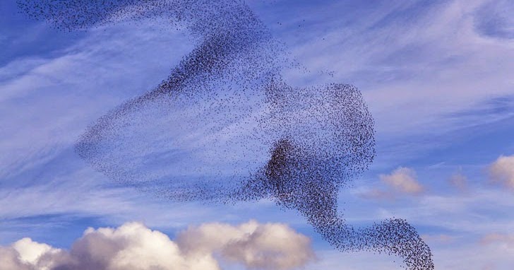 Digital Synchronization ~ Future of CIO