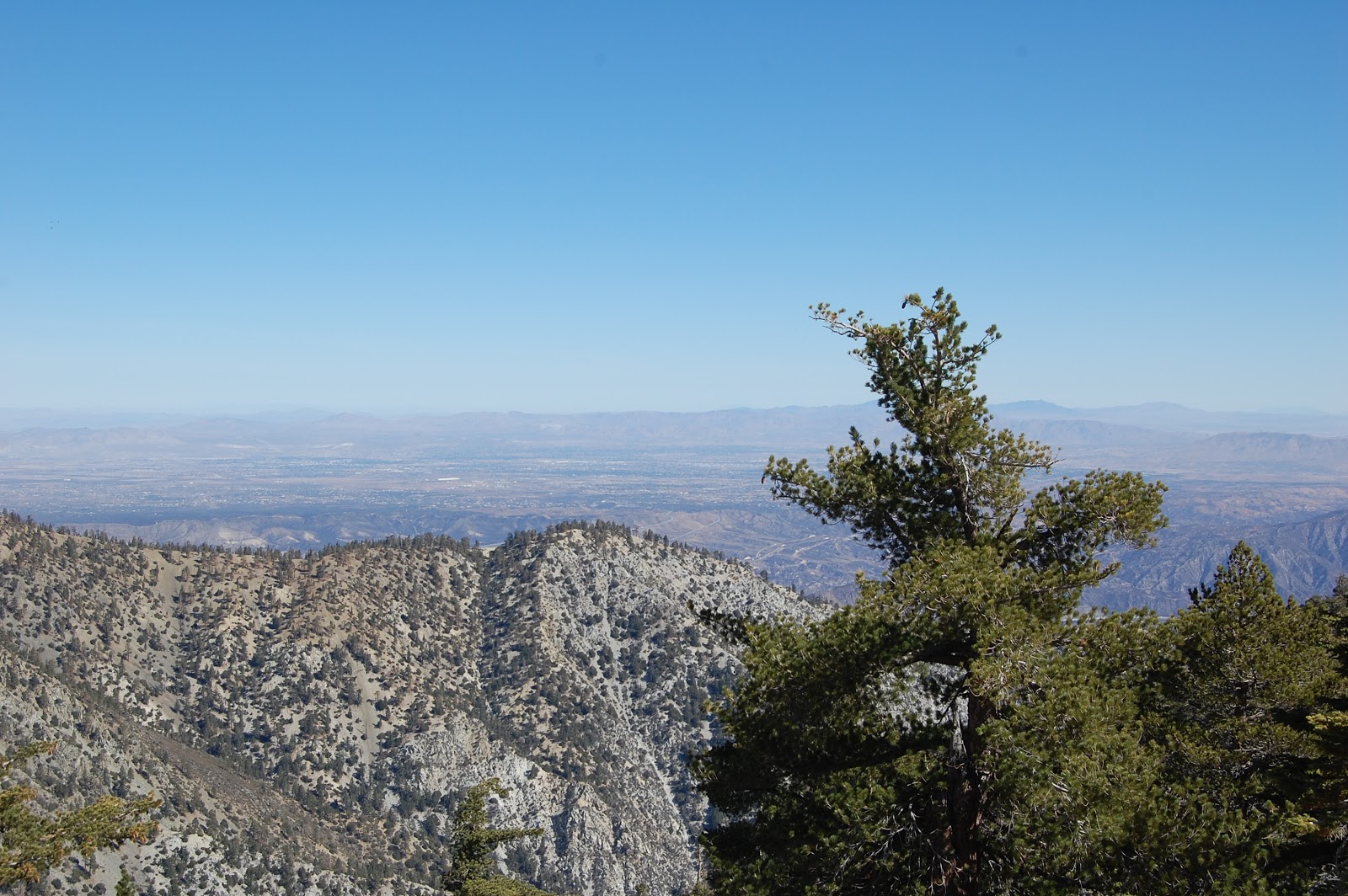 Hiking Timber Mountain | East West Hike