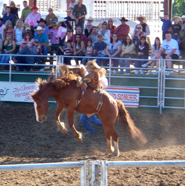 Random Images from a Nightowl: Marysville Stampede May 29, 2011