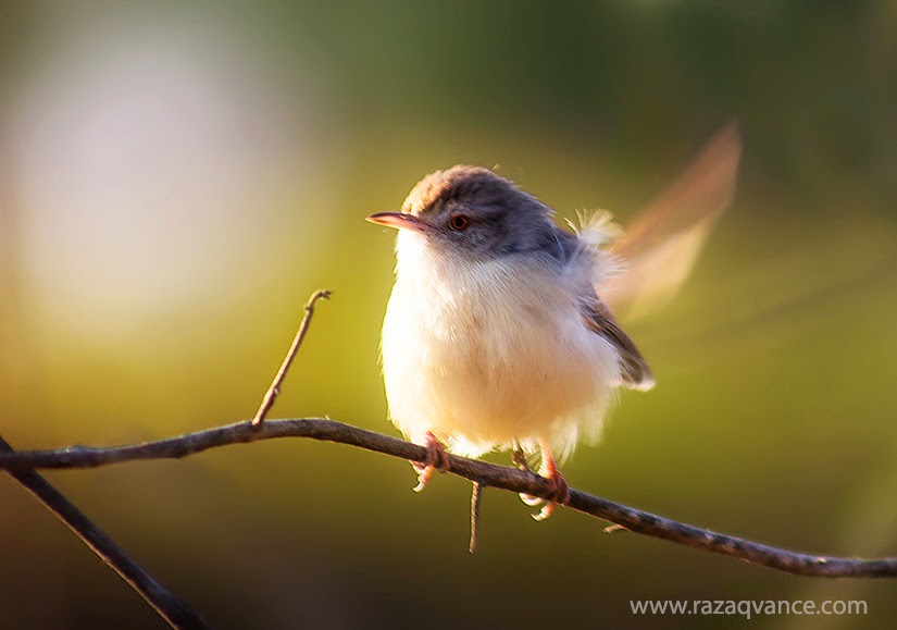 How To Use Digital Cameras To Take Sharp Pictures | Arbkan