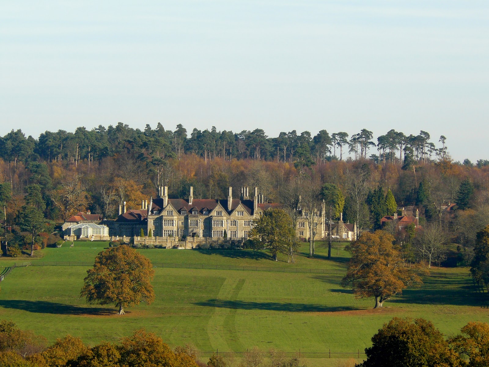 Peter Lovett's ramblings : Remembrance day walk; Ashdown forest