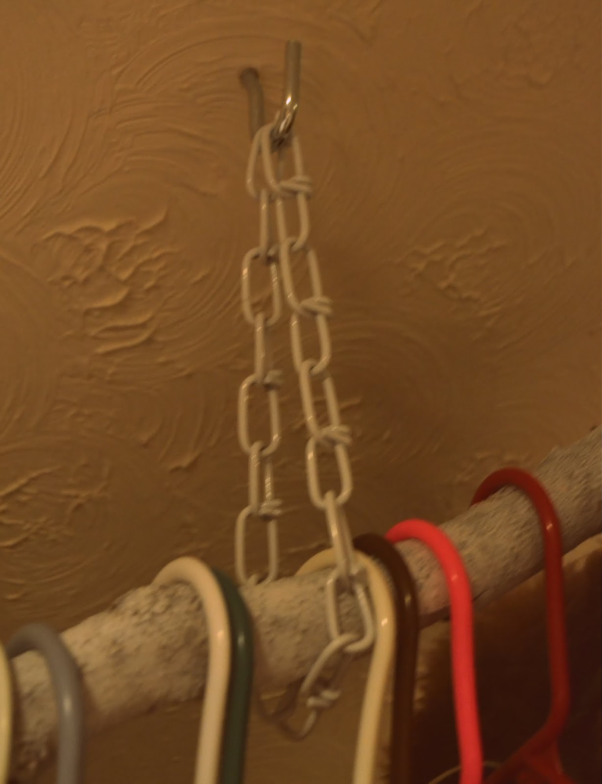 VOX+V: DIY: TREE BRANCH CLOTHING RACK