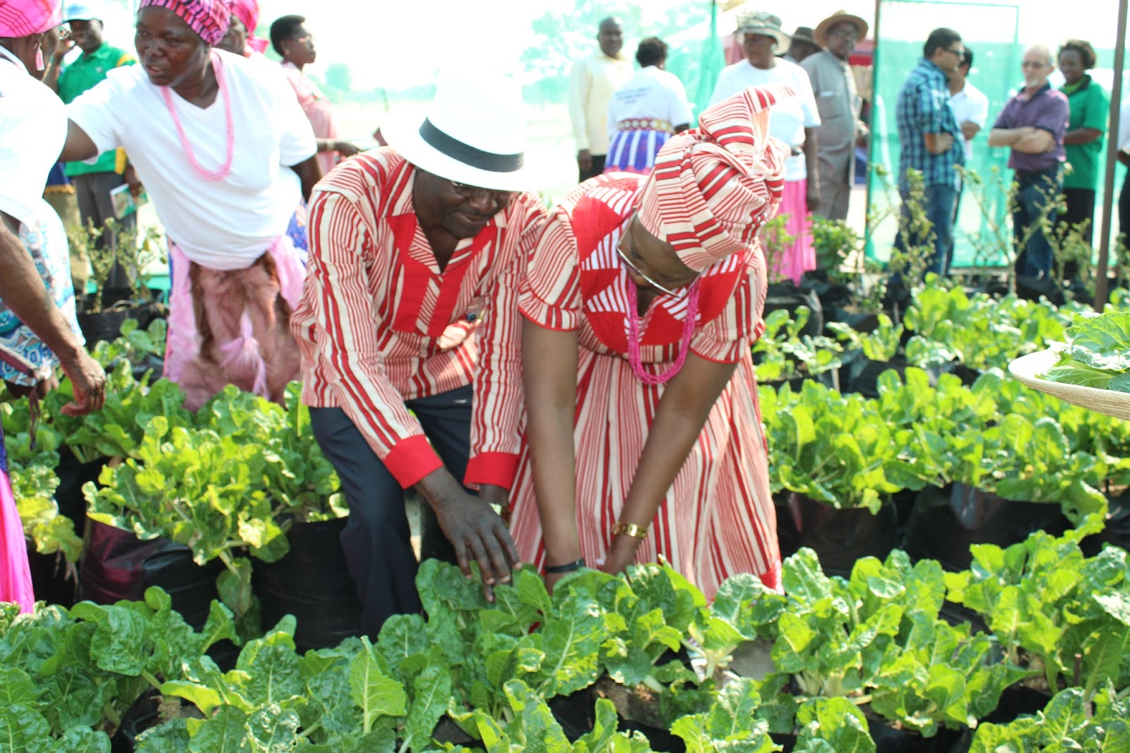 Deputy Minister of Home Affairs and Immigration of Namibia OPENS UP ...