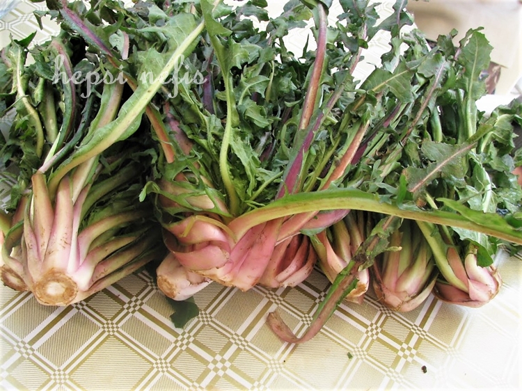 Egenin ot yemekleri 1 - Radika salatası