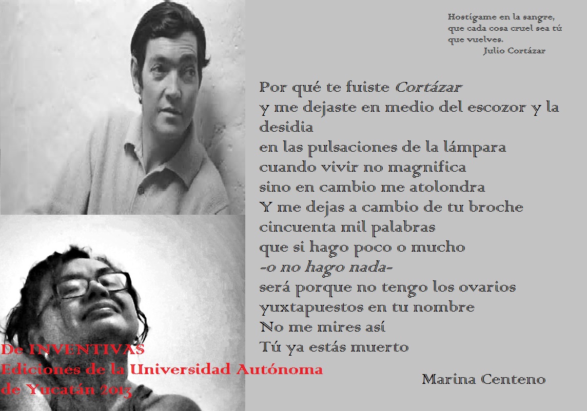 POEMAS DE MARINA CENTENO: RE-leyendo
