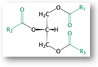 INTRODUCTION OLEOCHEMISTRY