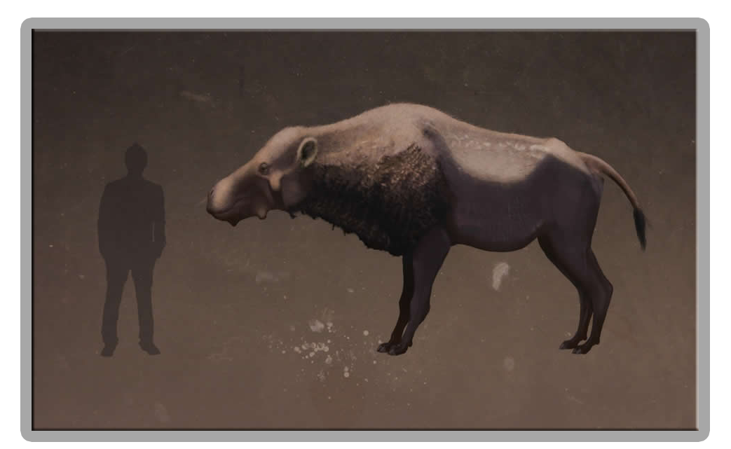 The Expeditioner's Discovery Guild: A little bit of Everything: Paleo ...