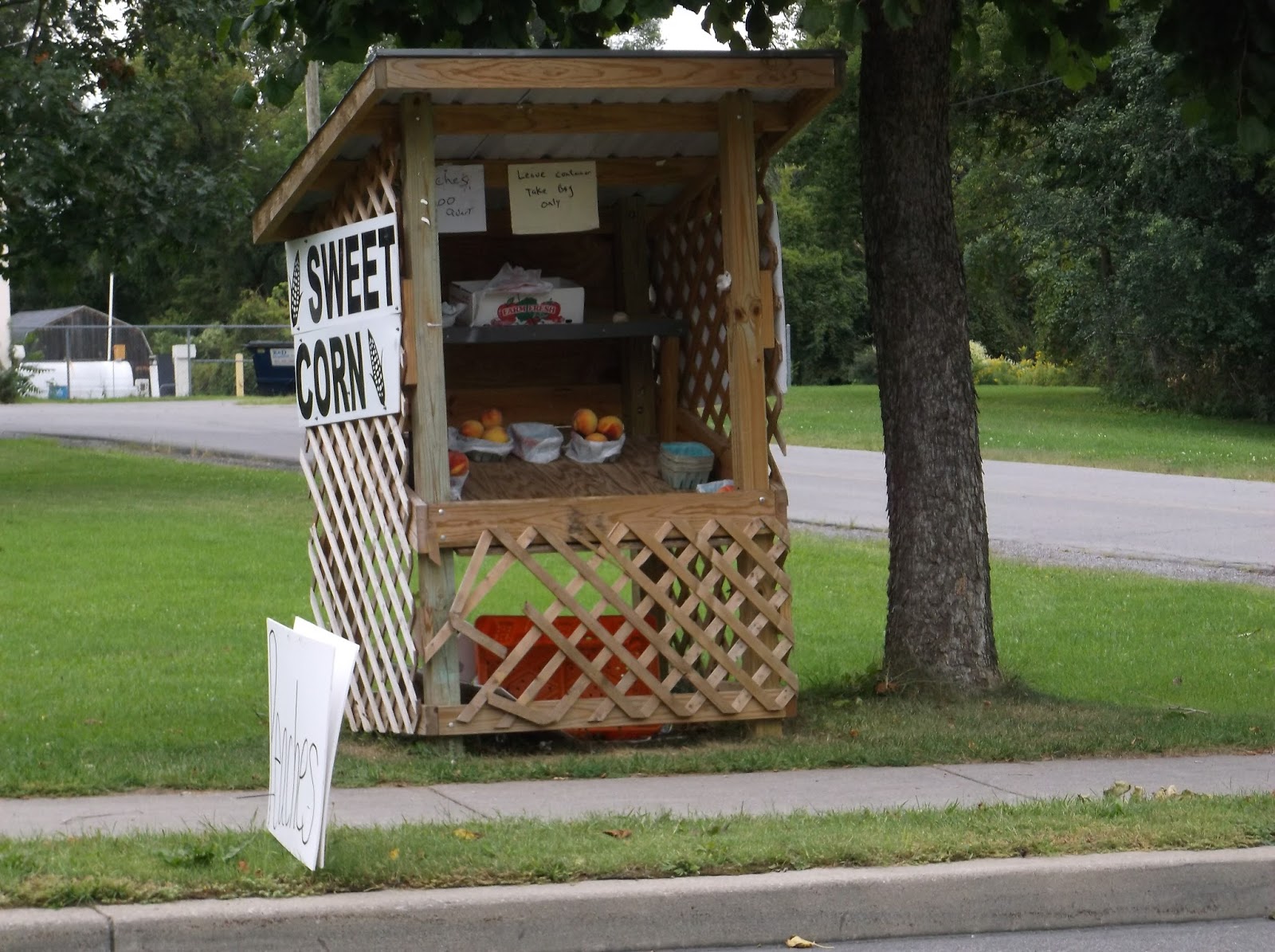 What Are Roadside Stand at Whitney Johnson blog