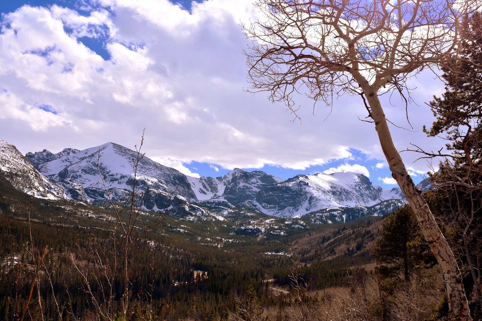 Mille Fiori Favoriti: Spring in Rocky Mountain National Park