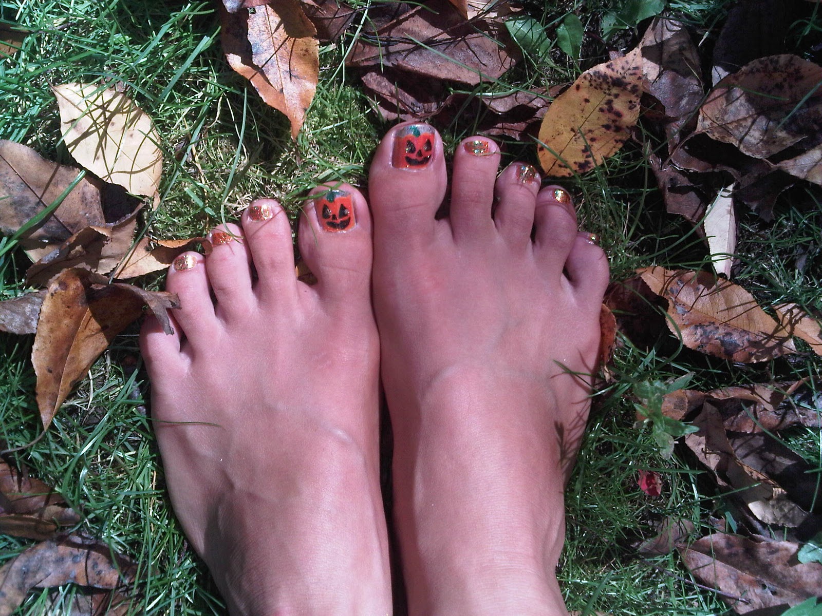 Majnooni Beauty: Pumpkin Lovers in the Sunlight