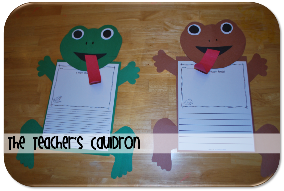 Frog and Toad all around! - Teacher by the Beach