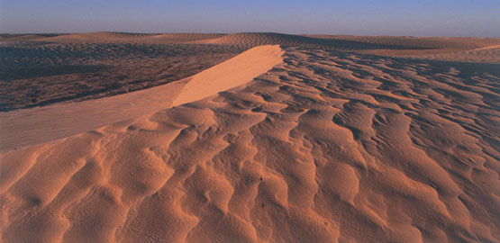 Modelado Terrestre: Las Dunas
