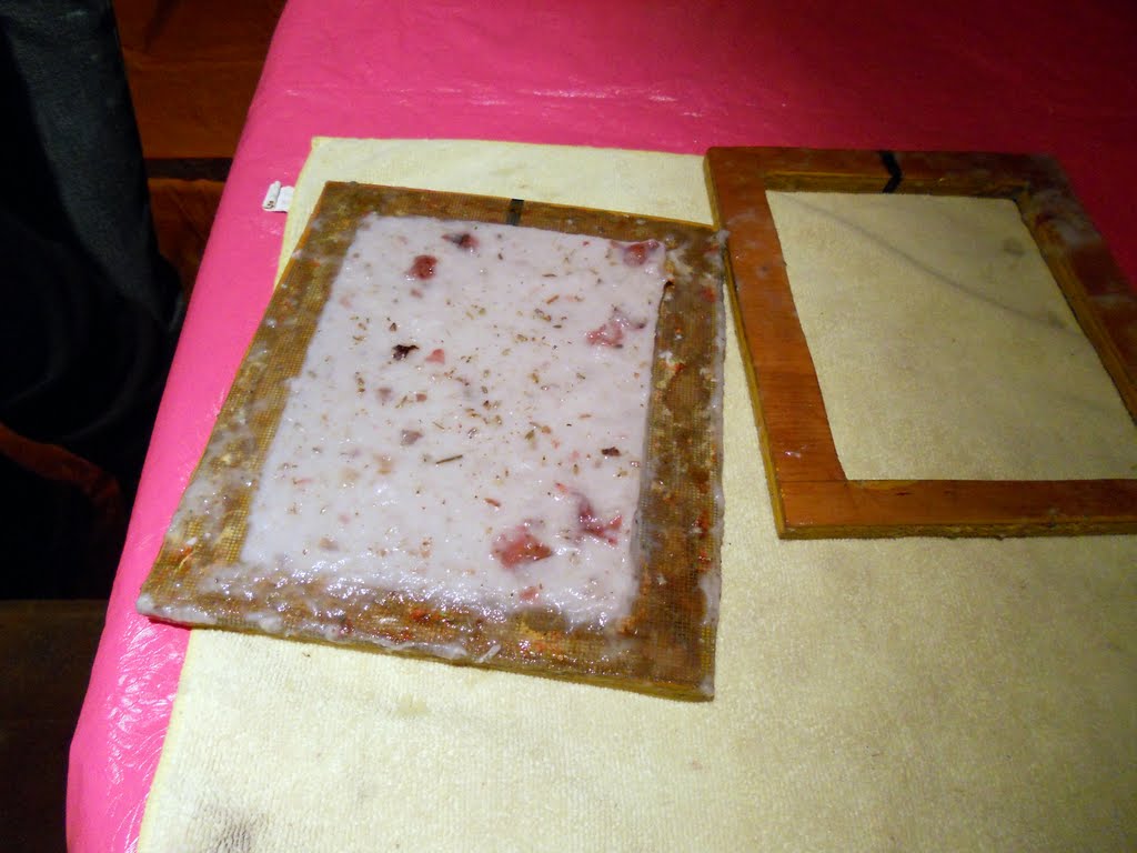 Michele Bilyeu Creates *With Heart and Hands*: Wildcrafting: Making ...