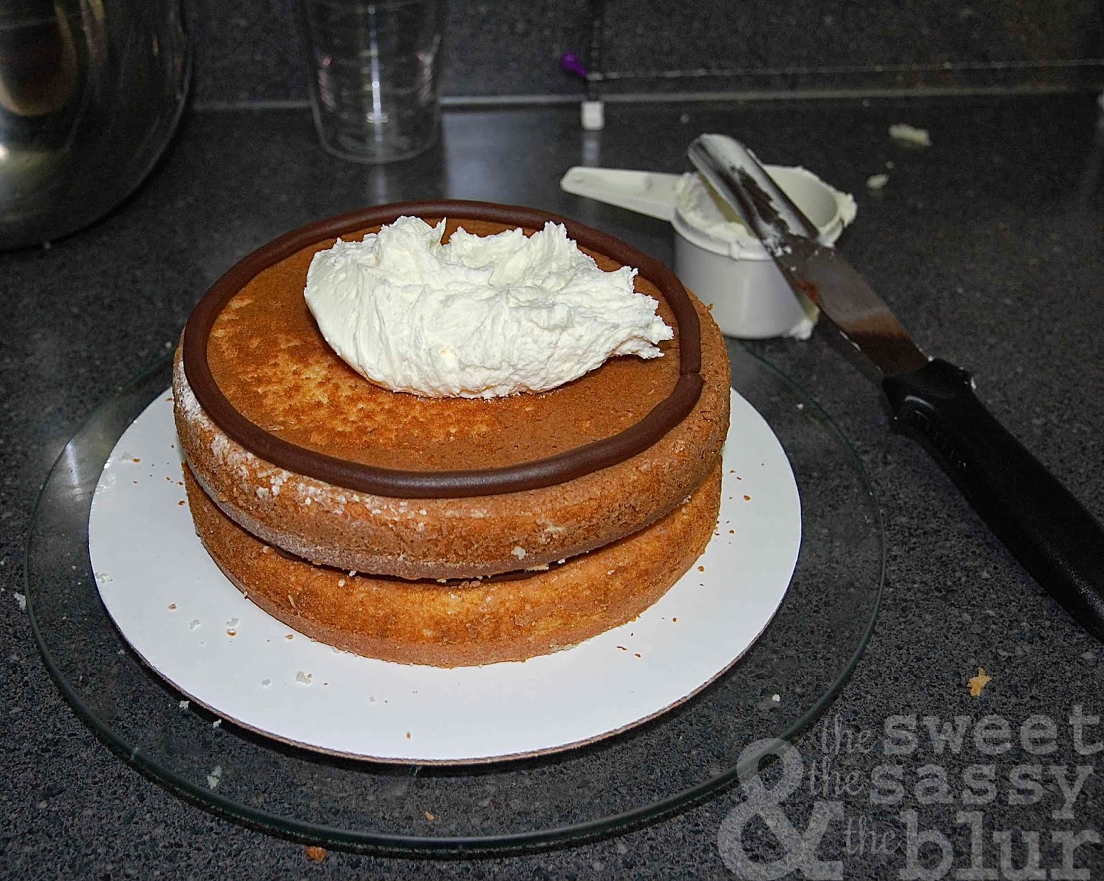 The Sweet, The Sassy and The Blur: Let's Decorate a Cake