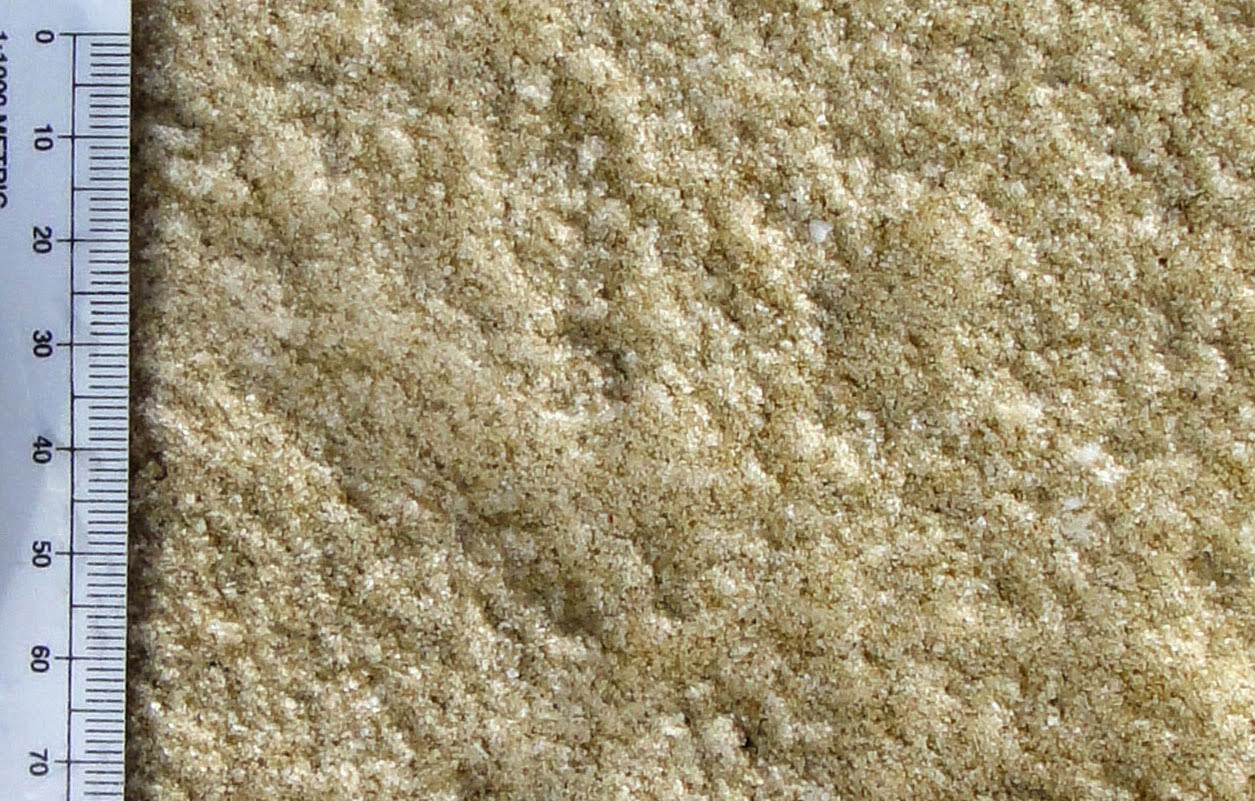 eScienceCommons: Fossil tracks mark student's passage into New World of ...