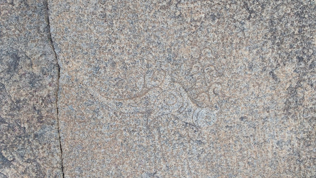 The Travel Reminiscenes: Chikkajala Fort