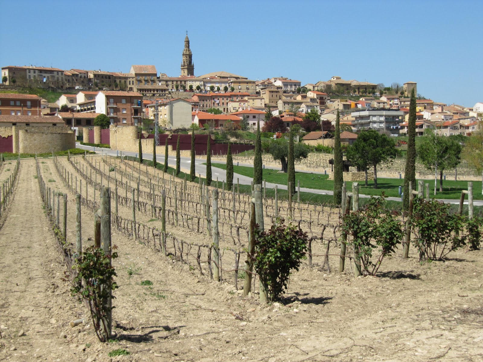 El Museo de la cultural del vino de Briones