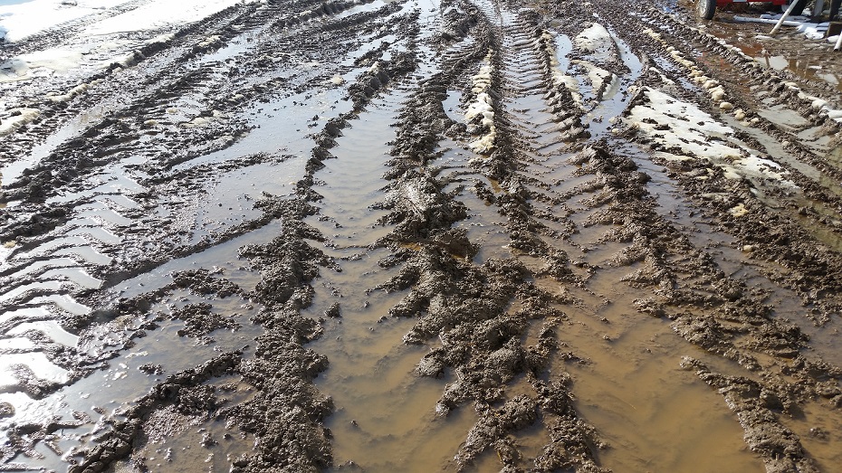 Gumbo Lily: Mud. It's a beautiful thing...