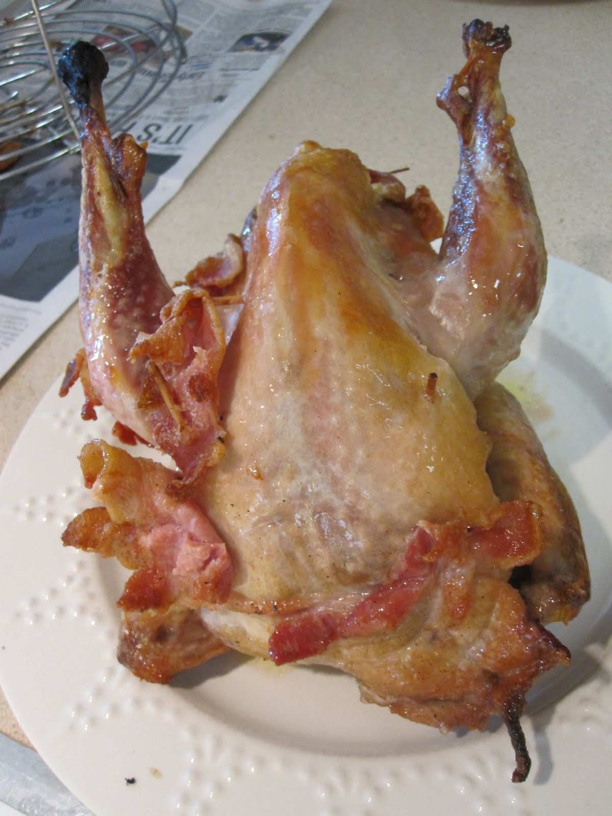 Cannundrums: Infrared Cooked: Guinea Fowl