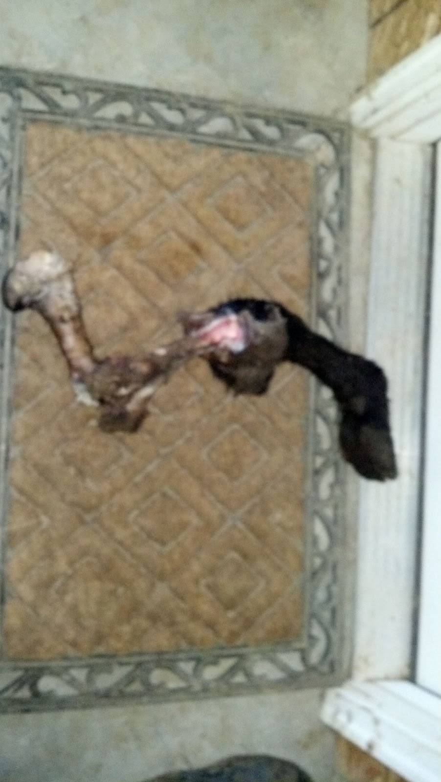 The Rancher's Wife: April 2013