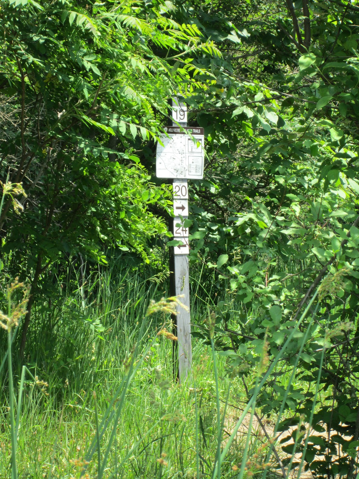 Discovering Michigan: State Park: Holly Recreation Area (Kayaking)