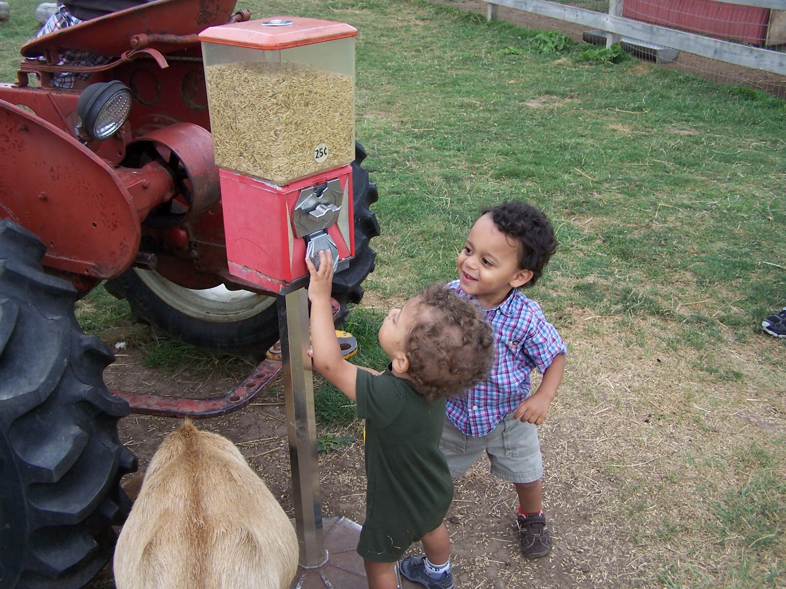 Three Cats and a Baby: A Day At The Farm