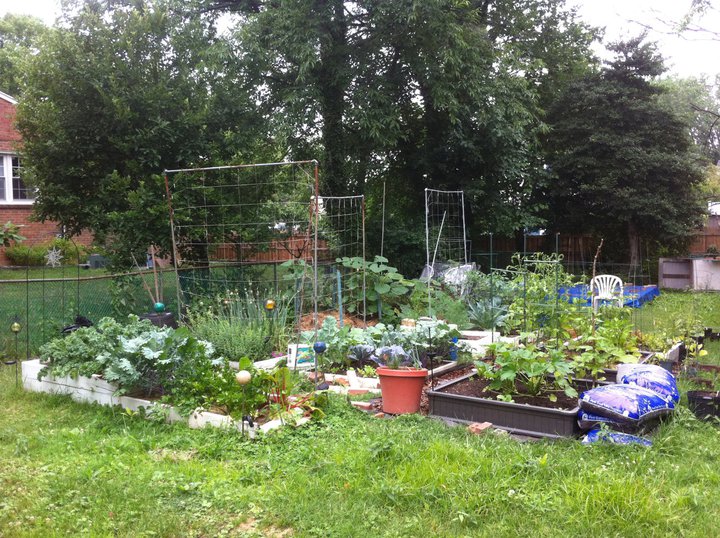 Backyard Farming: Your Backyard Farm