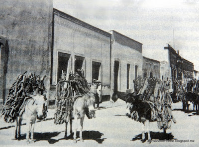 El Bable: De las mulas y su introducción a México