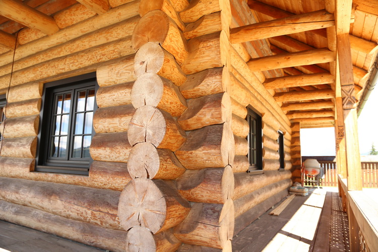 Log Home - Case din Lemn Rotund: Case din lemn rotund