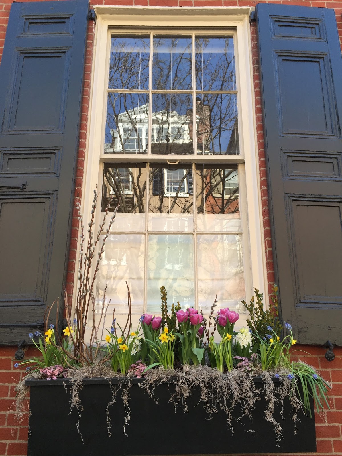 Philly FACADES: Window Box Flower Show!