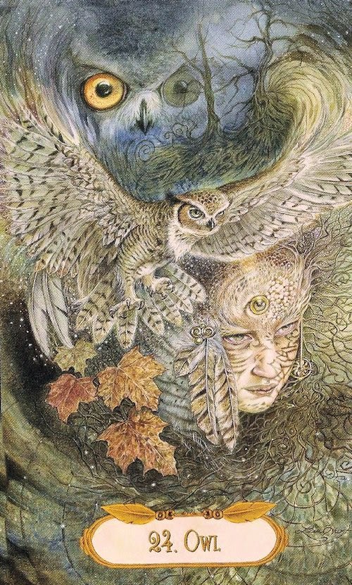 Tarot Notes: Review: The Winged Enchangment Oracle Deck