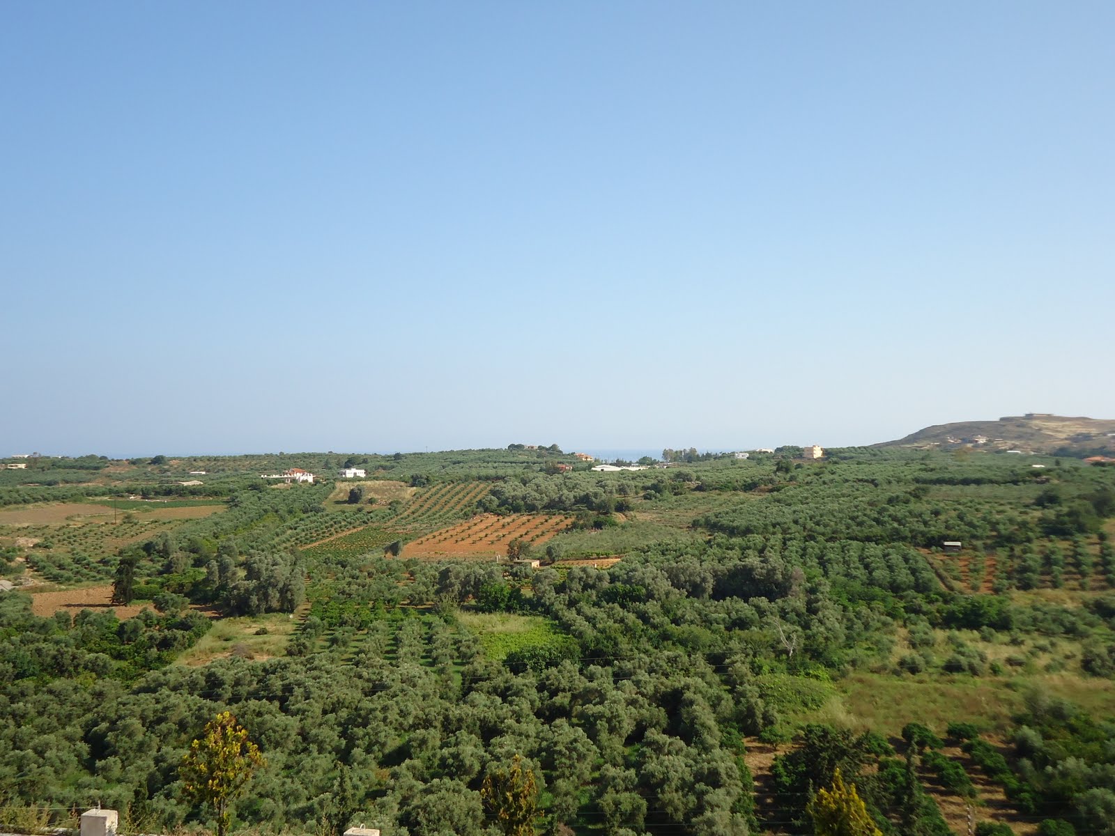 ΤΑΒΕΡΝΑ ΡΟΥΜΕΛΙ