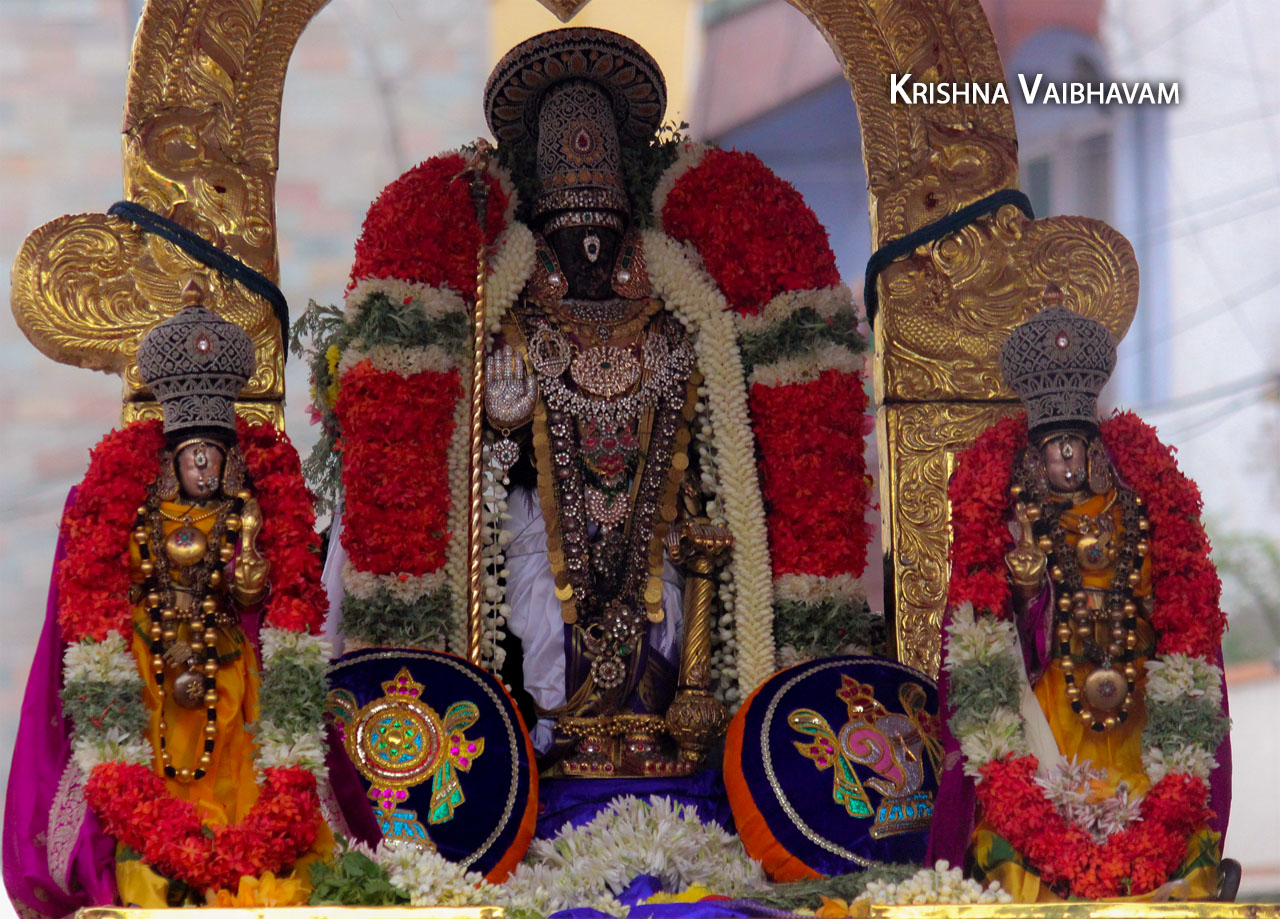 Krishna Vaibhavam: Sri Parthasarathy Perumal Purattasi Ekadesi ...