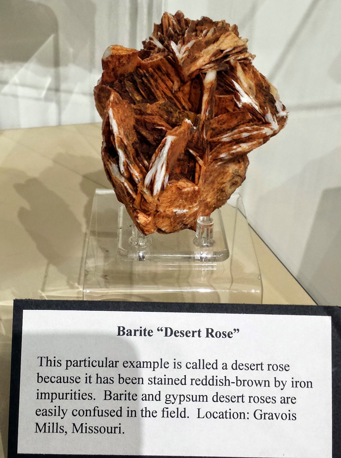 History and Culture by Bicycle: Nature's Kaleidoscope: Digging into the ...