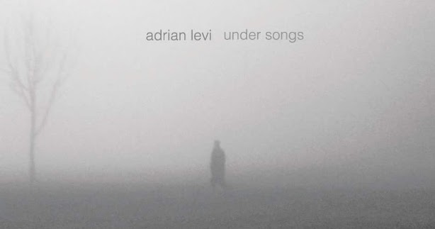 ADRIAN LEVI - Under songs (2016)