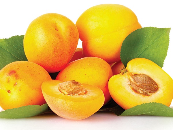 Quả mơ chữa bệnh gì? Công dụng tuyệt vời của quả mơ ~ Viên Uống Trắng ...