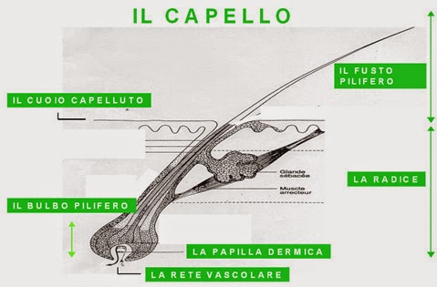 Afro Crespo Sano: La Trilogia del capello afro crespo