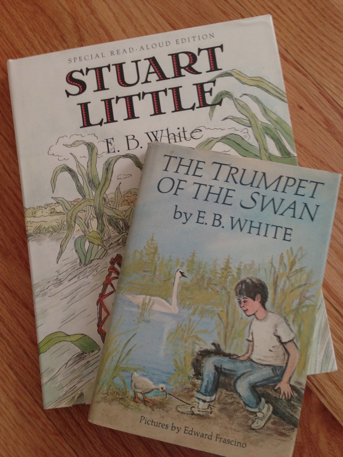 Anne's Pocket Finds: Favorite Children's Books to Thrift