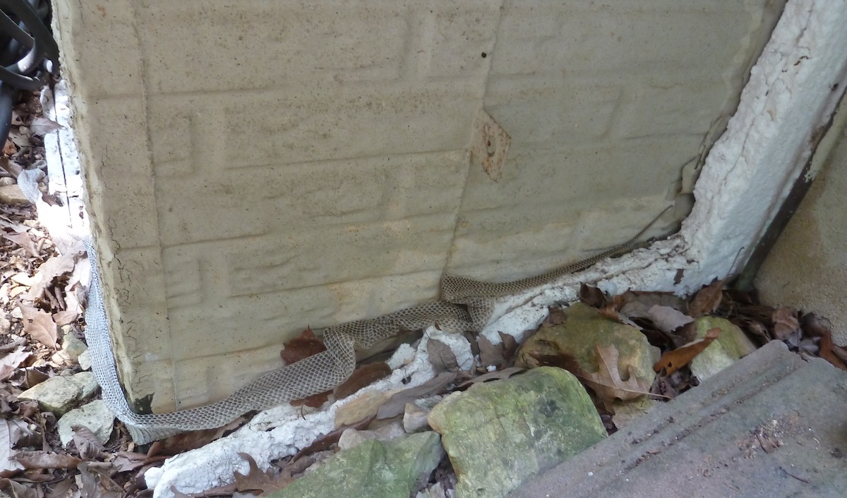 Springfield Plateau: Shedding Snakes