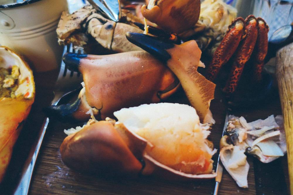 Catch Of The Day – Bonnie Gull – The Londoner