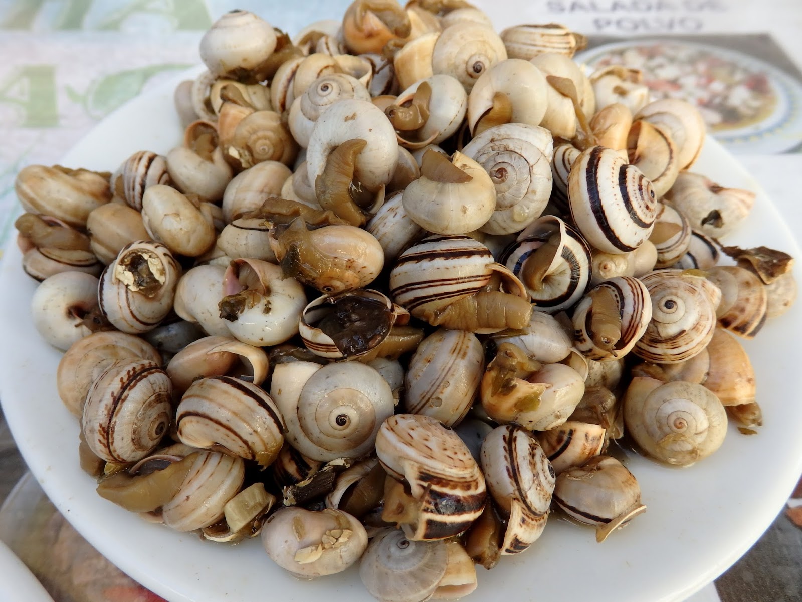 18º postal – Comer caracóis não é nada fácil - Anita aprende português