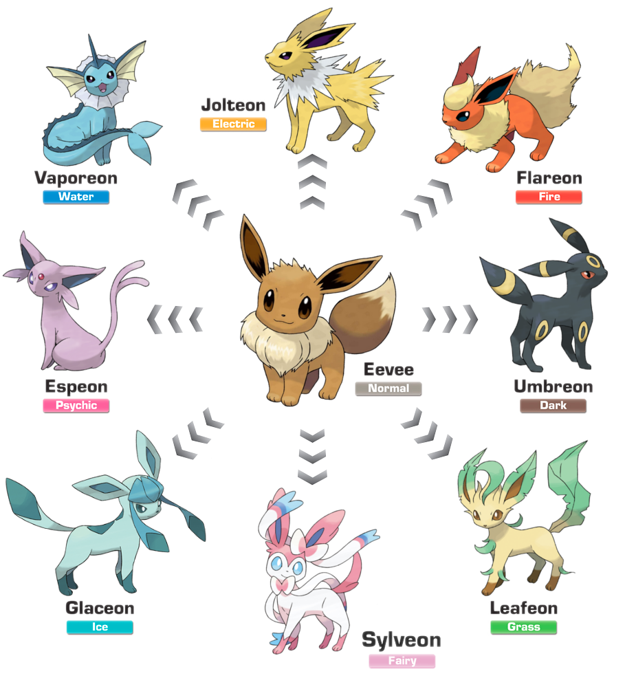 The Pokémon Dictionary: Eevee and the Eight Evolutions