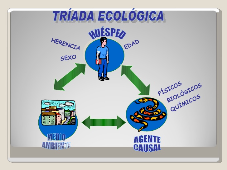 LA TRIADA ECOLOGICA