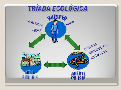 LA TRIADA ECOLOGICA