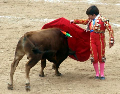 TOROS DEL CONDADO S.L: ¿QUÉ ES TOREAR………………?
