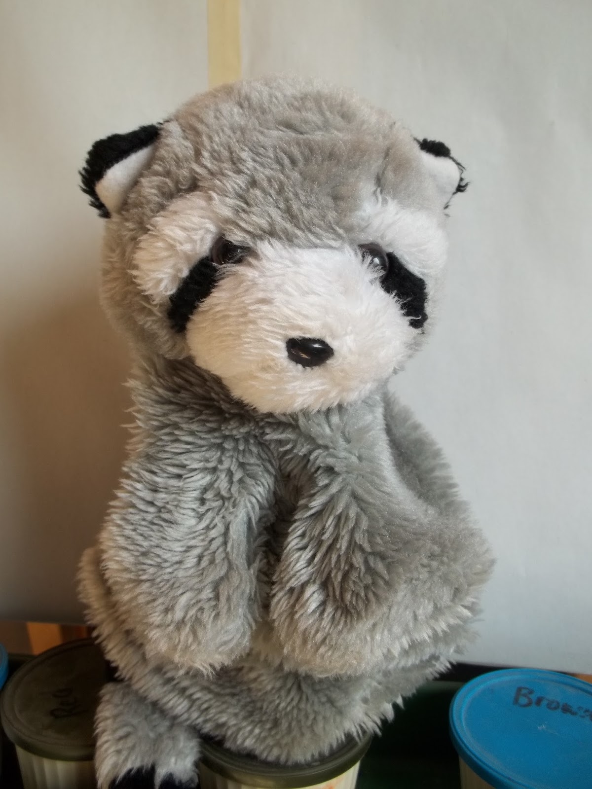 Kindergarten Rocks!: Rascal the Raccoon